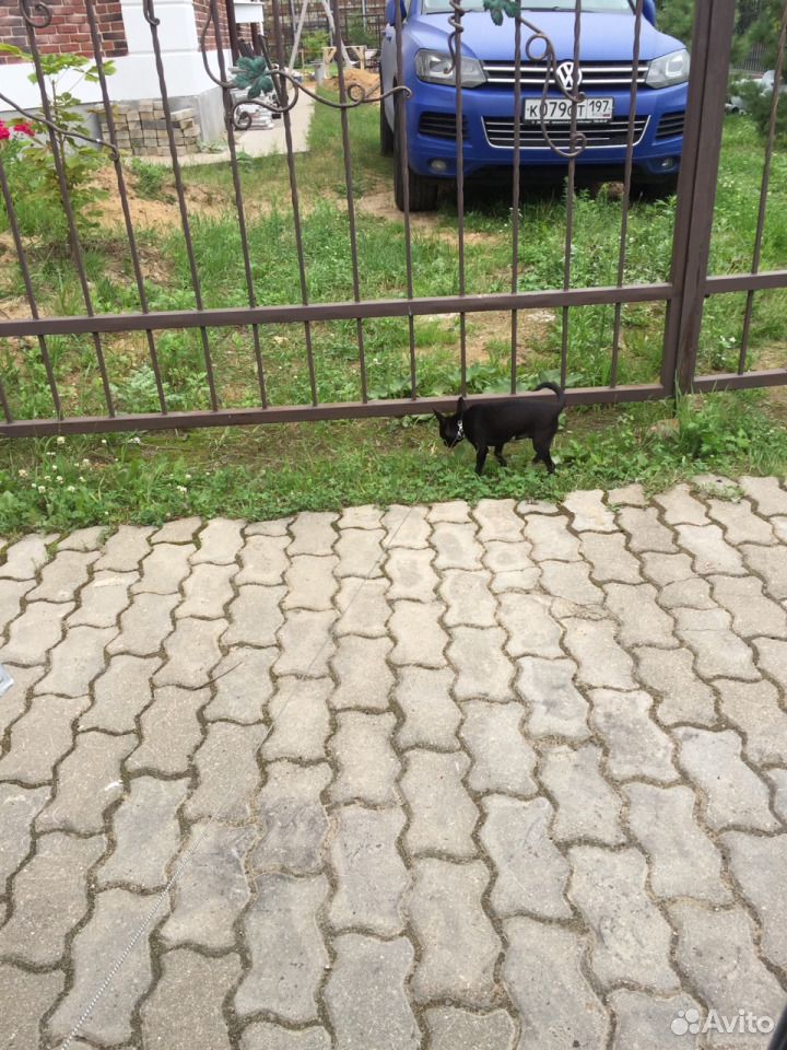 Мальчик на вязку