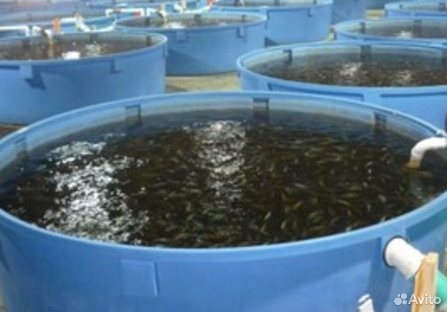 Узв для разведения раков, рыбы