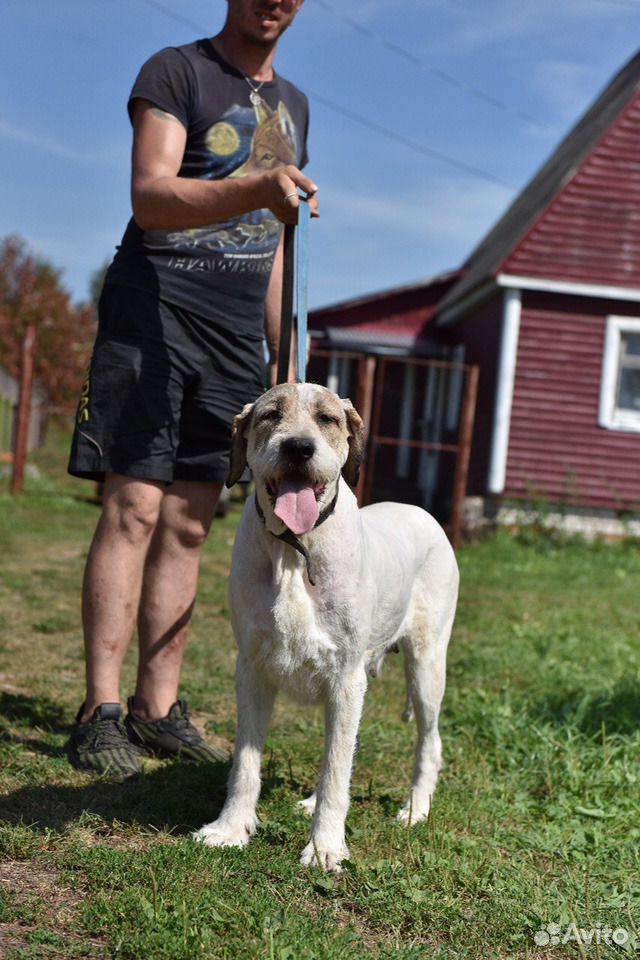 Прекрасная добрая Фея, 3 года