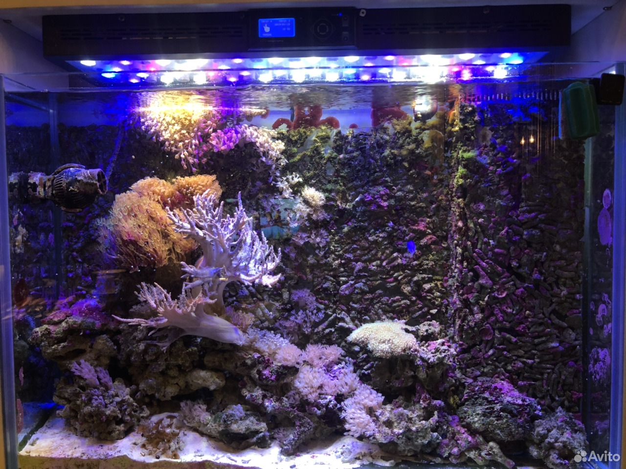 Морской аквариум 160 л