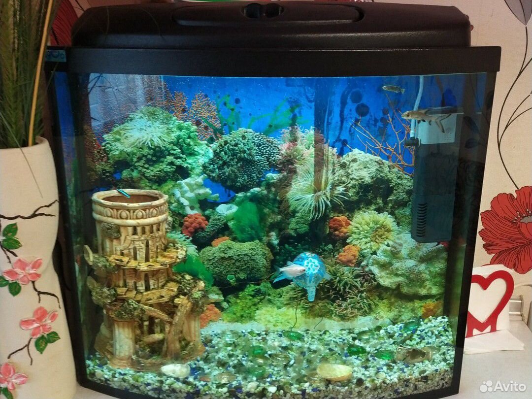 Аквариум