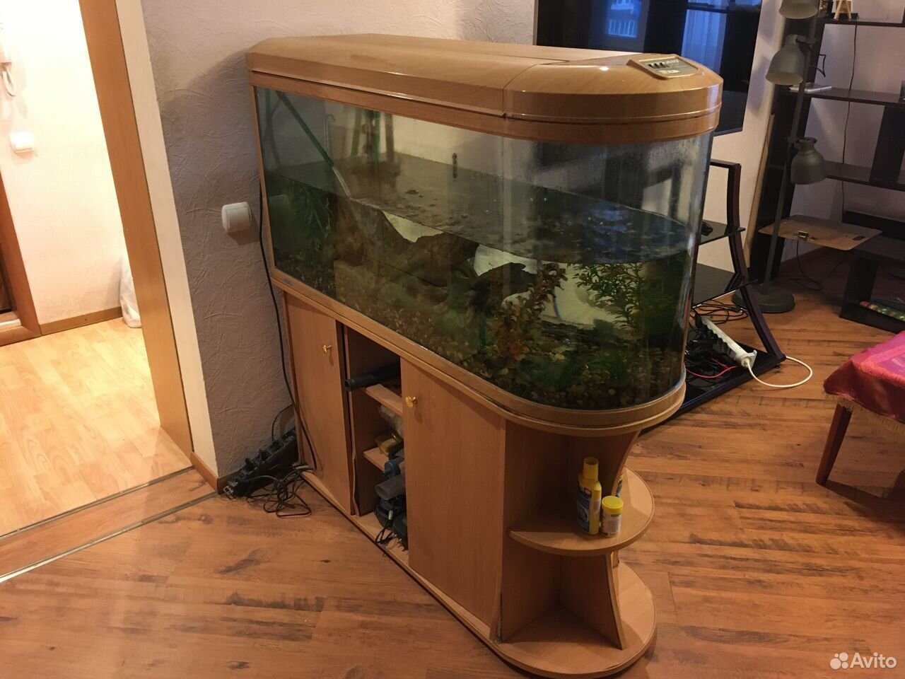 Аквариум