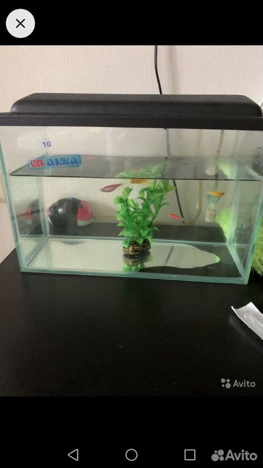 Аквариум 10литров