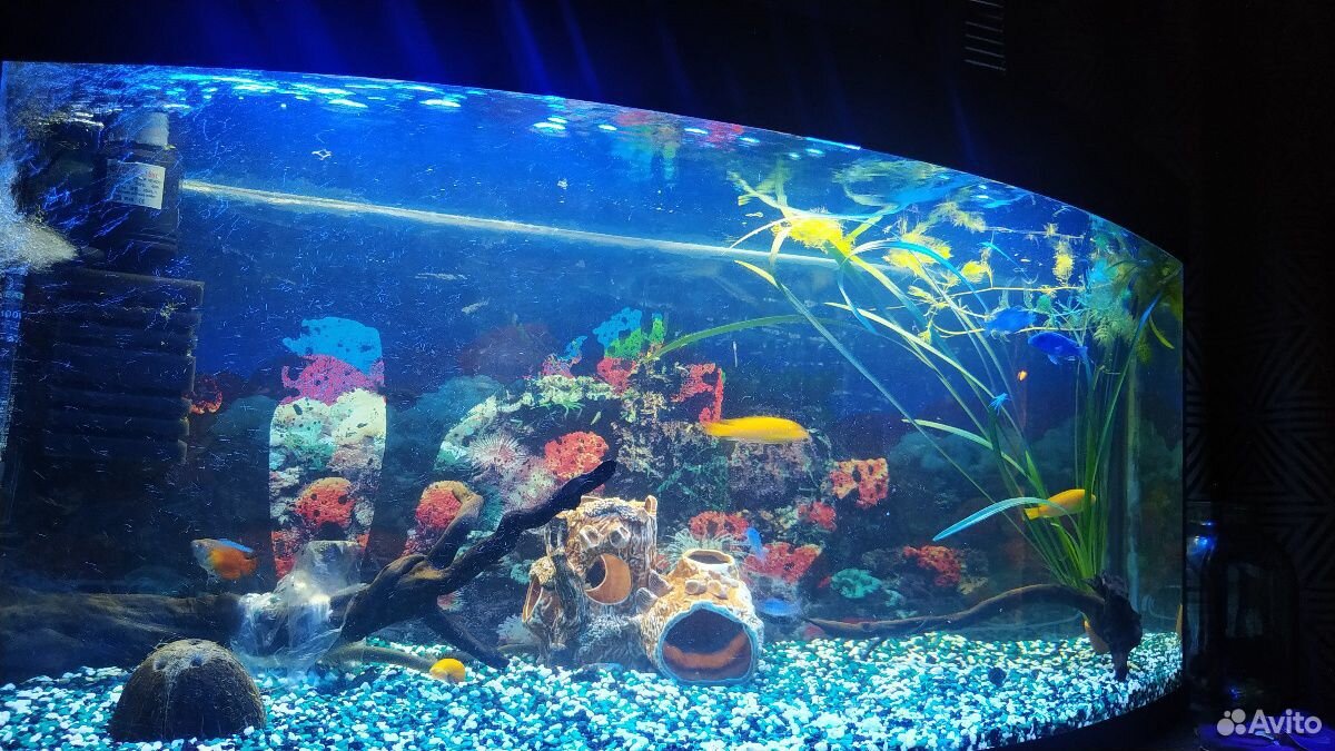 Аквариум панорама 280 литров