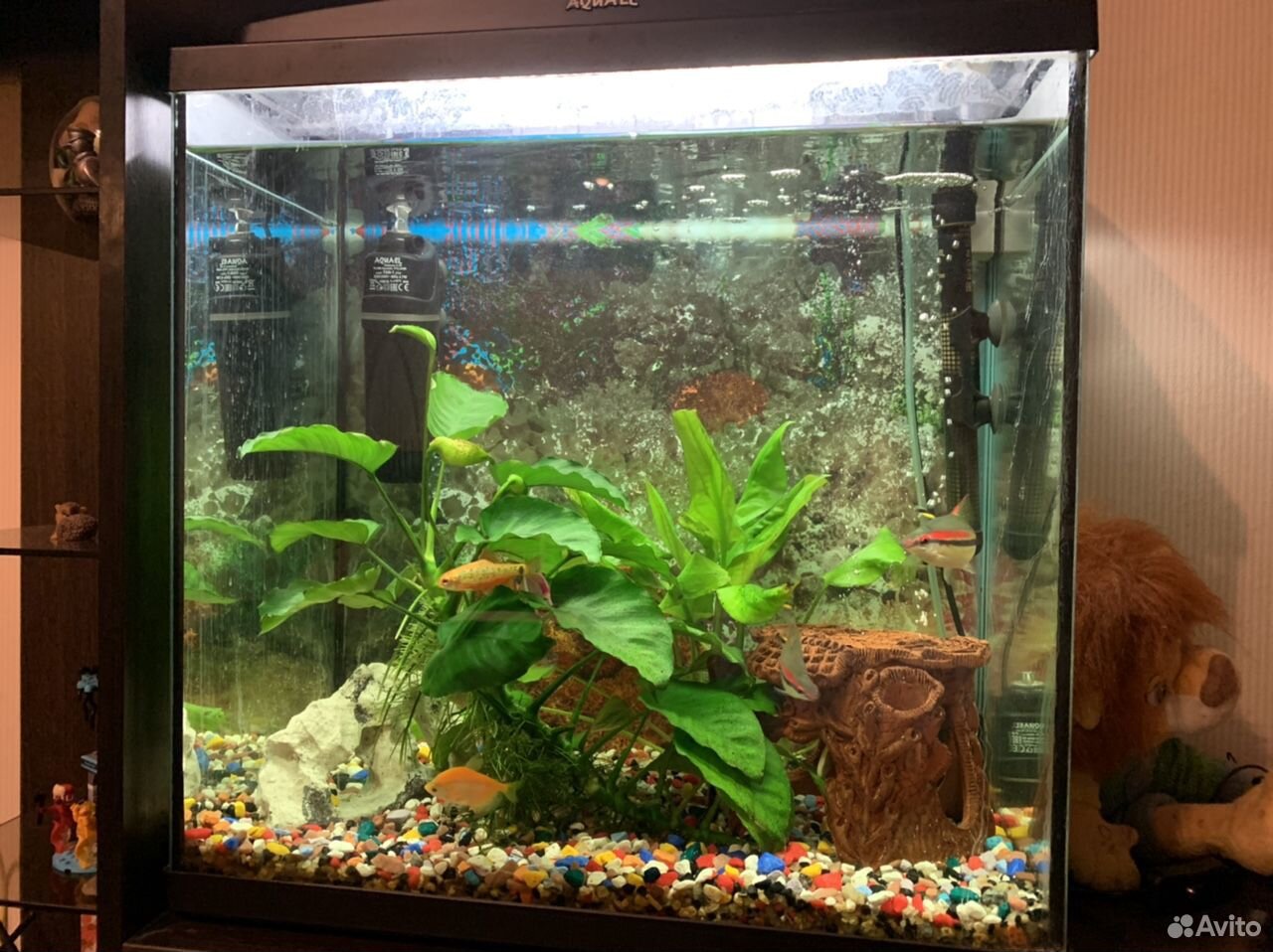 Аквариум
