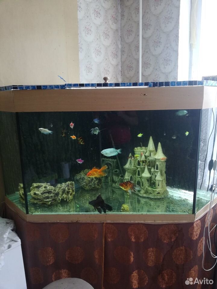 Аквариум 600 литров угловой