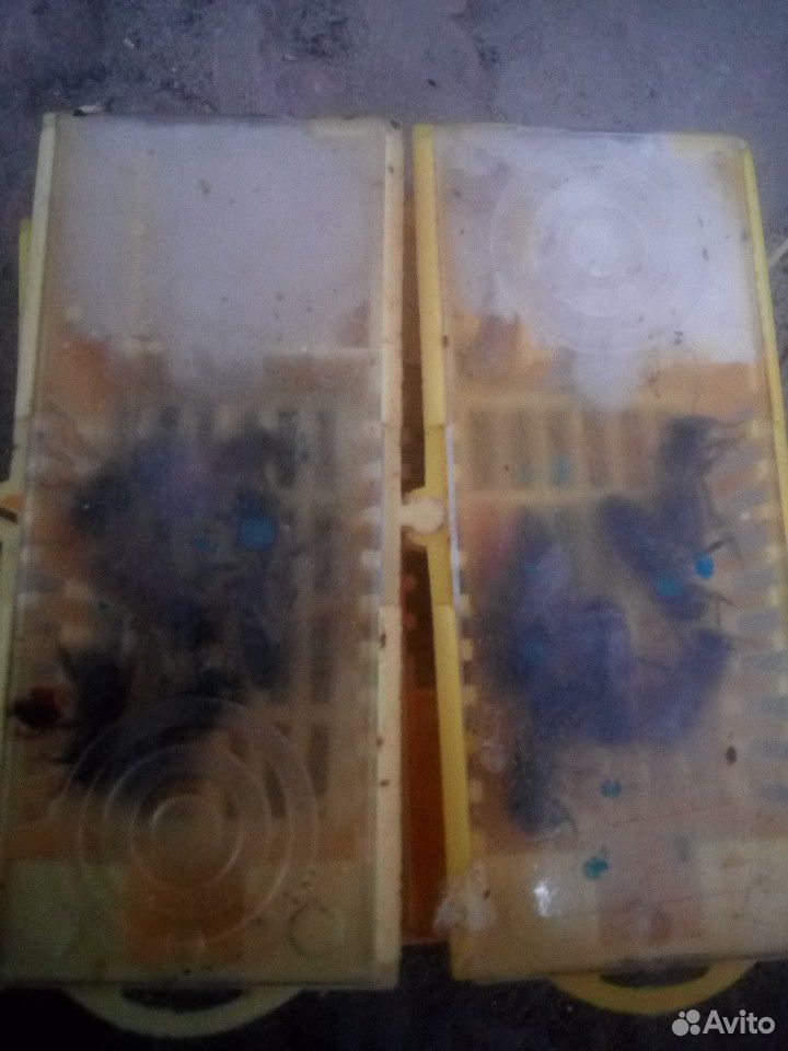 Пчеломатки