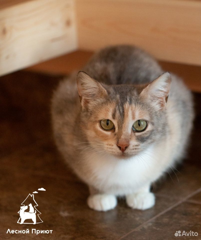 Нежная малышка Ева ждёт свою семью