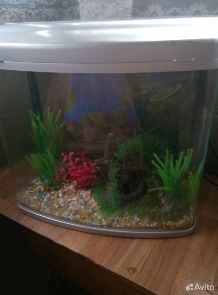 Аквариум