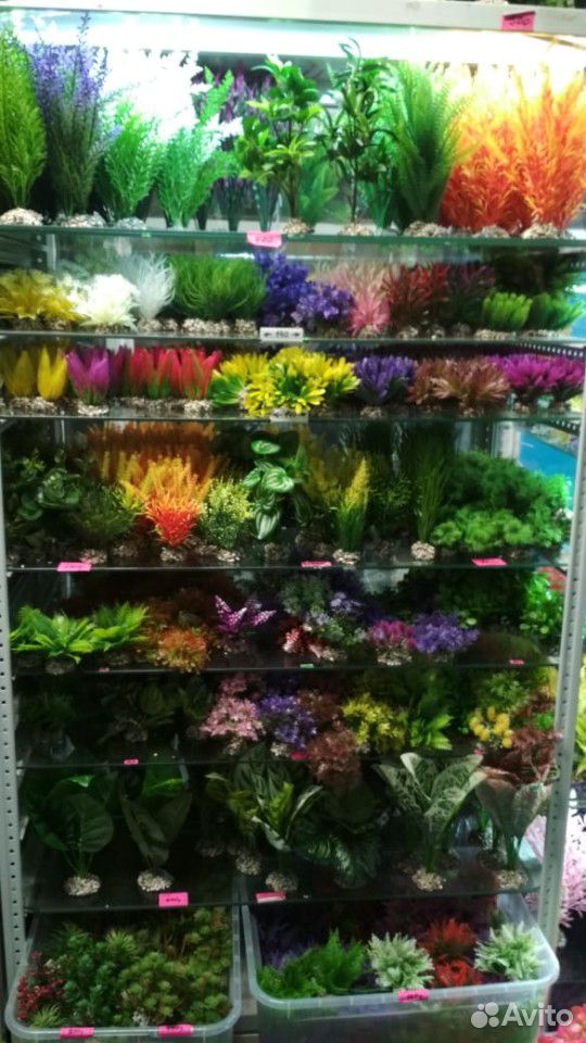 Аквариумистика оптом