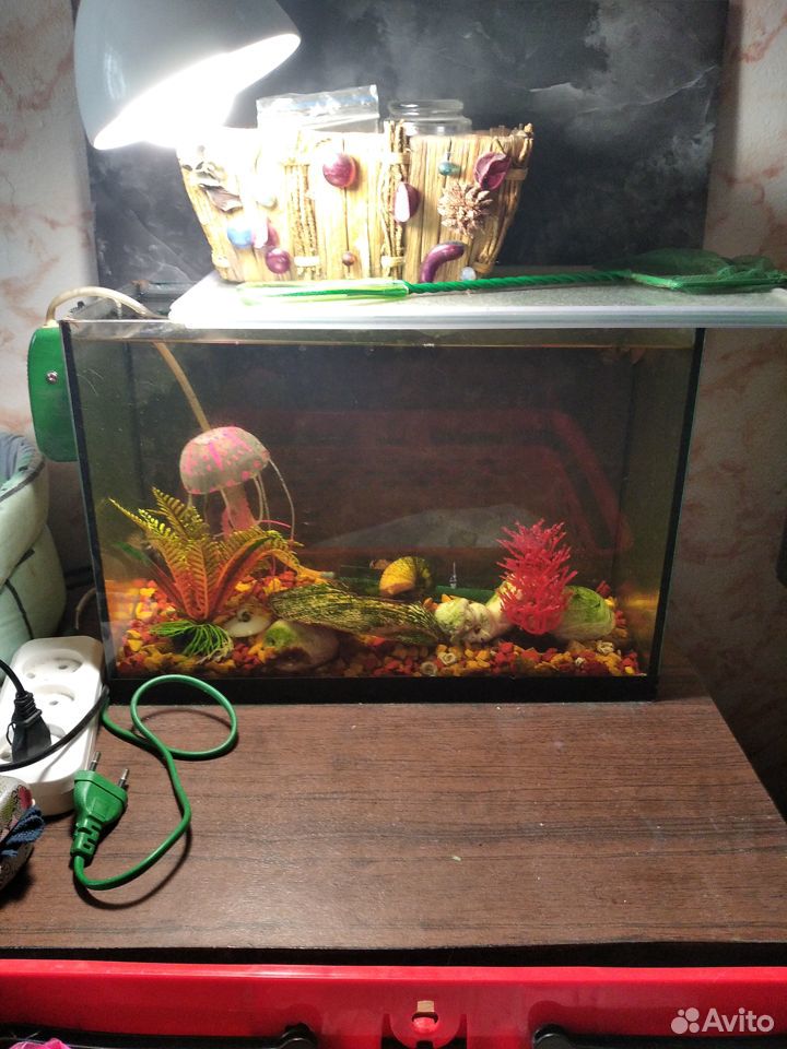 Аквариум