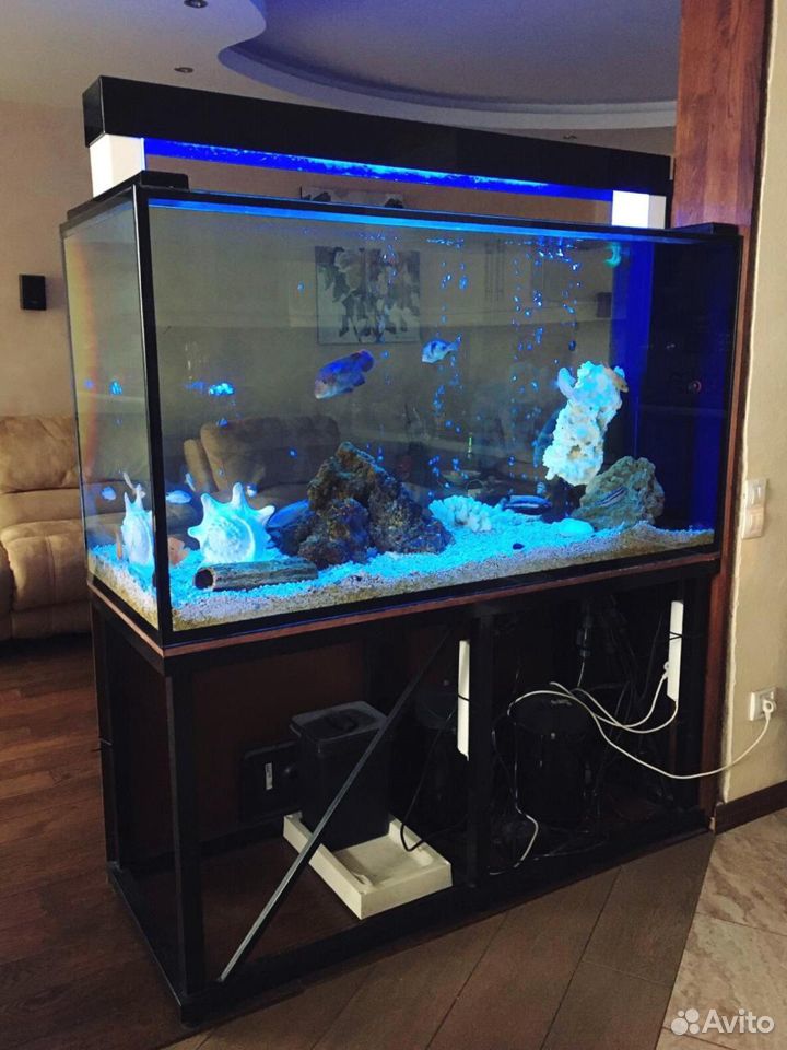 Аквариум для пресноводных рыб (700 литров)