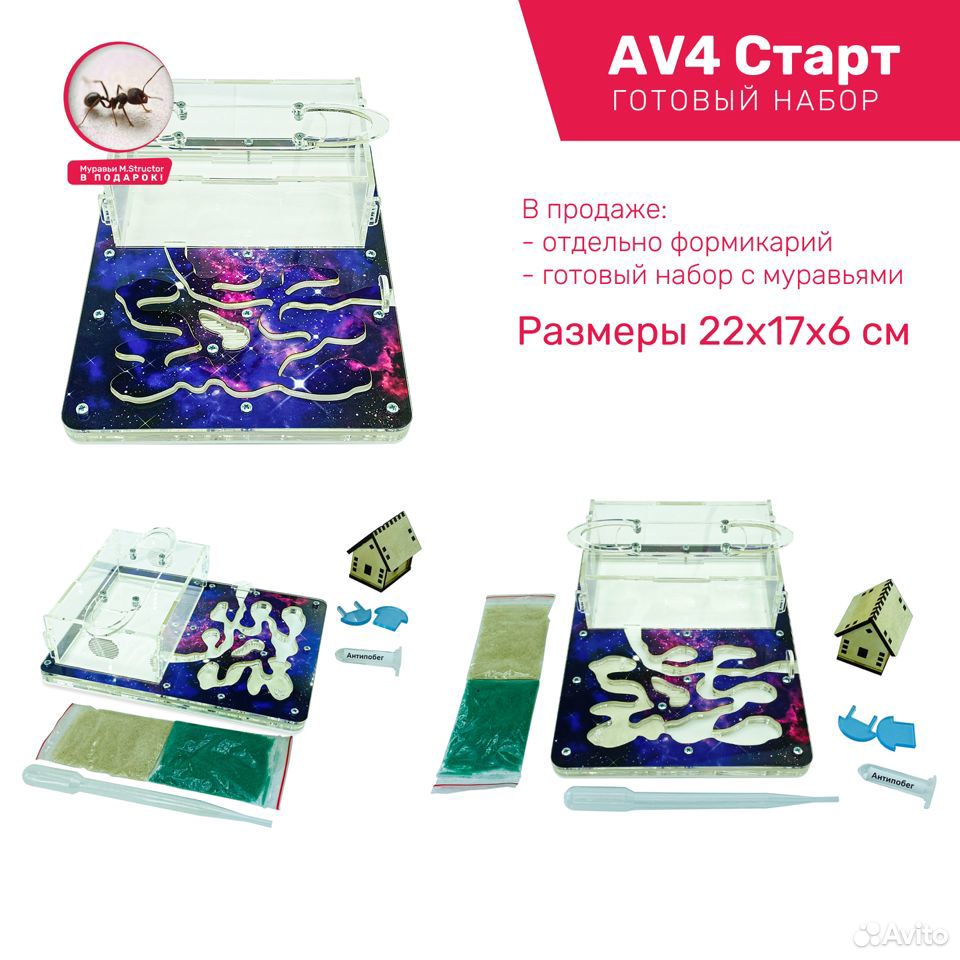 Муравьиная ферма «Космос»