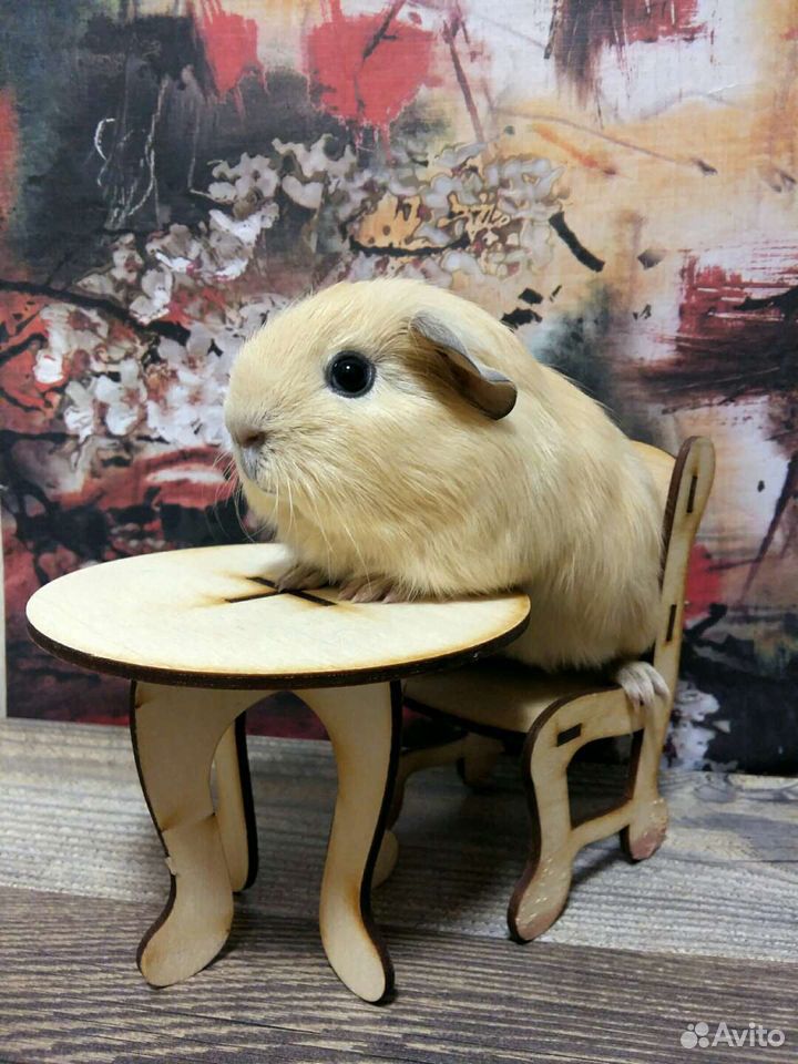 Кремовый малыш