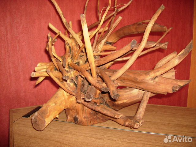 Продам карягу для аквариума