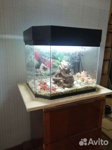 Аквариум