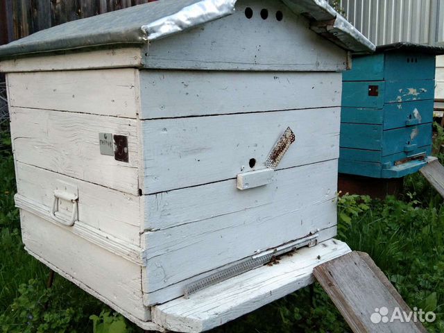 Улей с пчелами