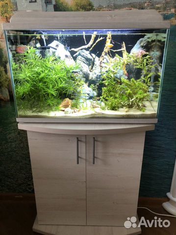Аквариум