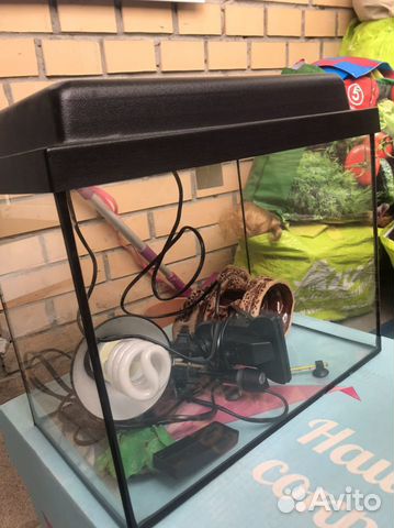 Аквариум террариум для черепахи,корм