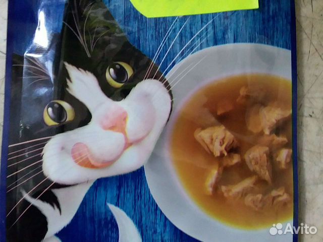 Отдам кота в добрые руки