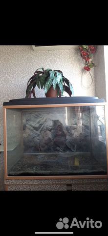 Аквариум с тумбой 380л бу
