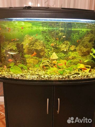 Аквариум с тумбой 120 литров