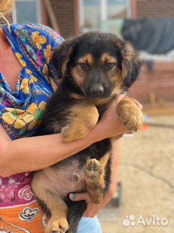 Мальчик 3 месяца