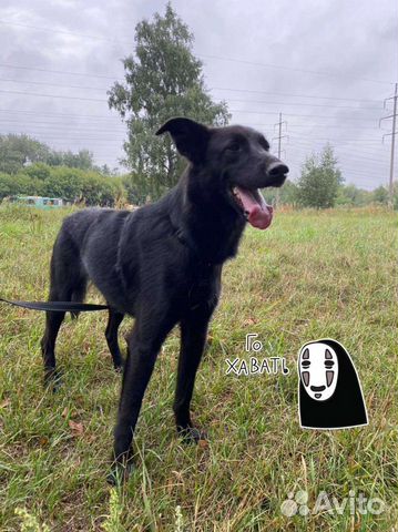 Патрик приютский парень