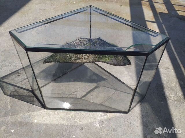 Аквариум/террариум