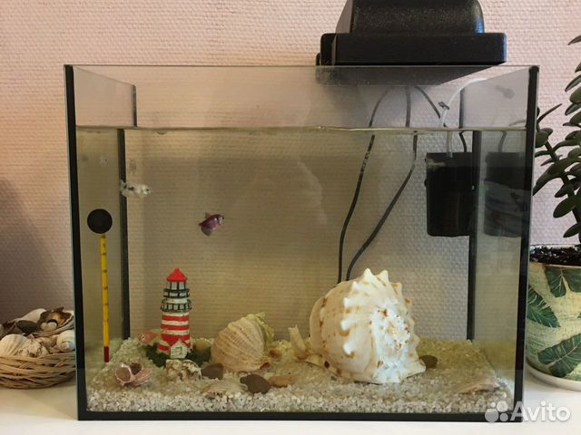 Аквариум