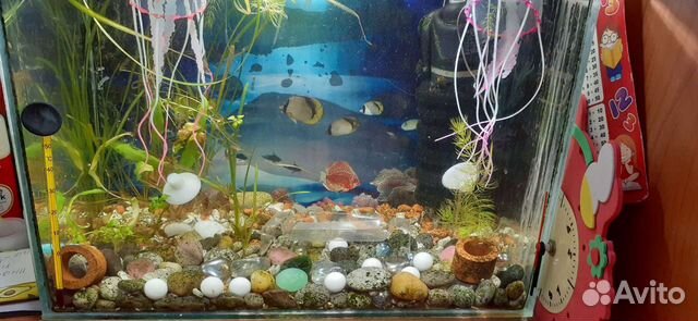 Аквариум