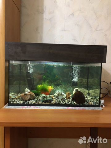 Аквариум