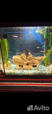 Аквариум с полным набором