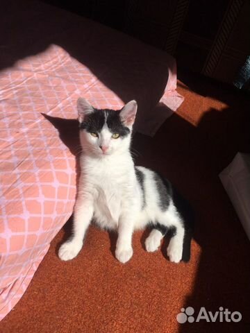 Очаровательная Милли