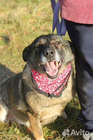 Спасите Дуню из приюта