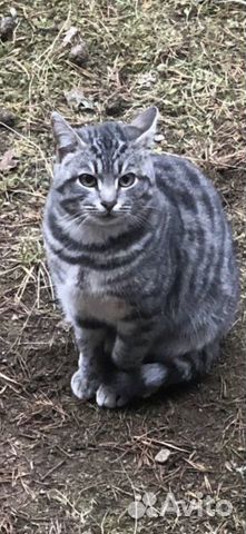 Маленький мальчишка в добрые любящие ручки