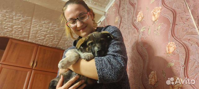 Щенок мальчик