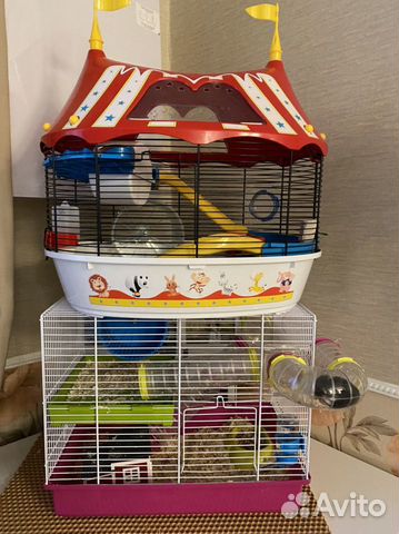 Отдам хомяка с клеткой
