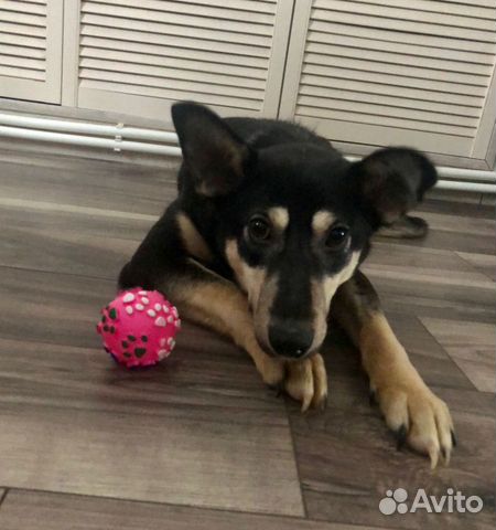 Помогите Найде выжить