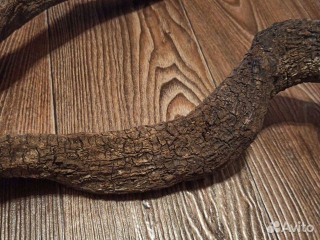 Коряги,ветви,ветки