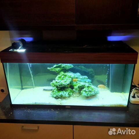 Аквариум juwel 180 л