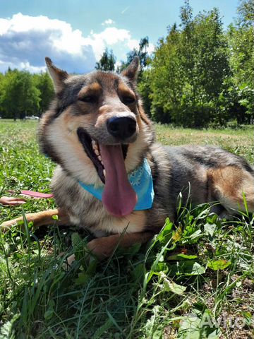 Друг ищет друга, забери меня домой