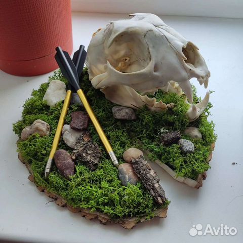 Лесная инсталляция