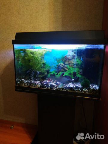Аквариум с тумбой