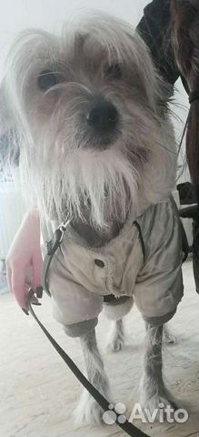 Кхс на вязку