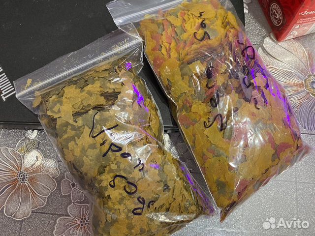 Sera san, sera vipan nature