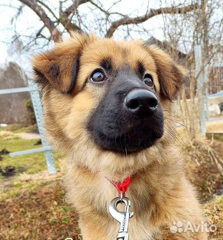 Возьмите меня домой