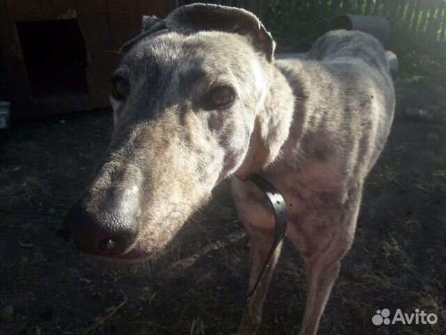 Продам с документами