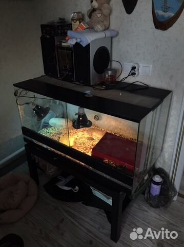 Террариум+Черепашки сухопутные среднеазиатские