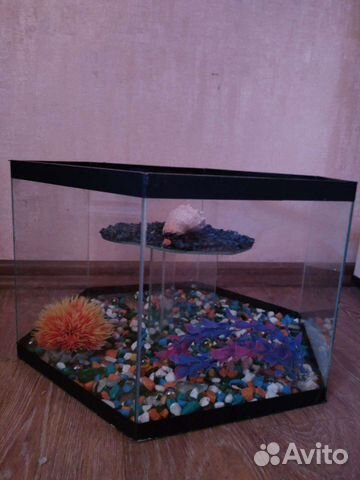 Аквариум